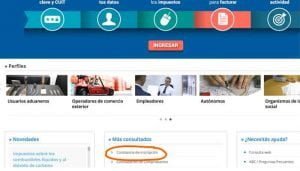 CUIT y Constancia de CUIT - Ayuda Trámites